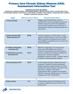 Fillable Online Primary Care Chronic Kidney Disease (CKD) Fax Email ...