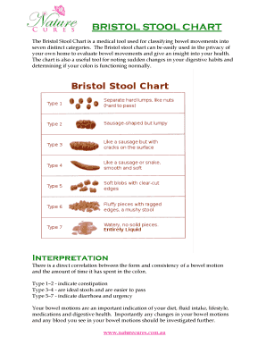Fillable Online The Bristol Stool Chart is a medical tool used for ...