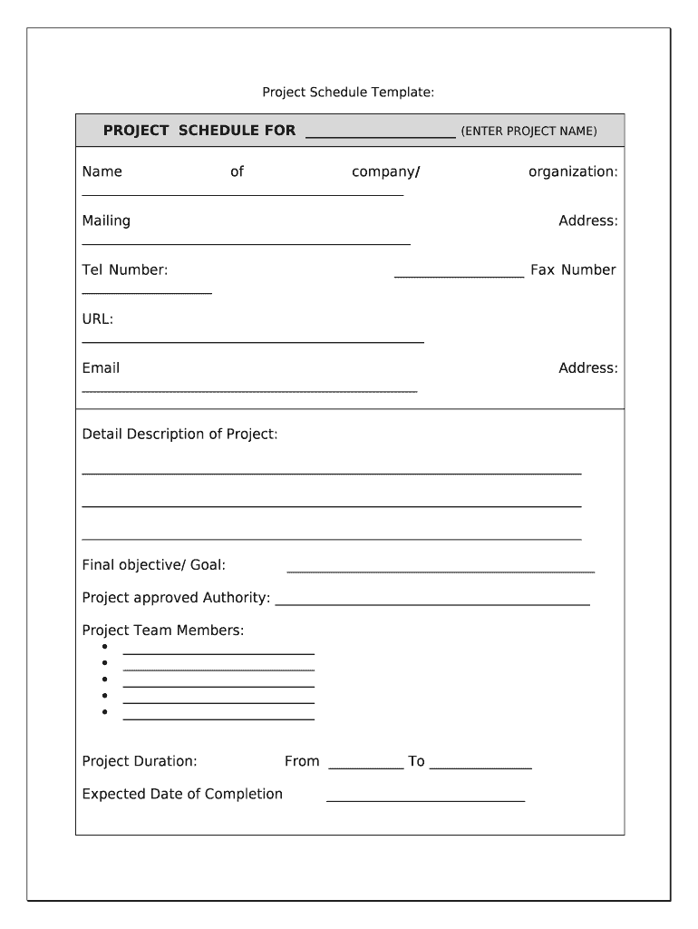 Project Schedule Template: Doc Template | pdfFiller