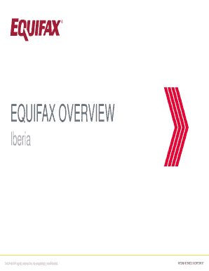 Fillable Online EQUIFAX OVERVIEW Fax Email Print - pdfFiller
