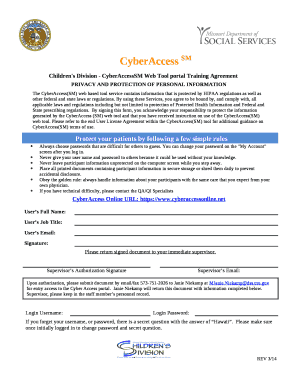 cyberaccess privacy and protection of personal ination Doc Template | pdfFiller