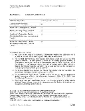 Capital Certificate Doc Template | pdfFiller