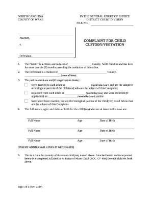 COMPLAINT FOR CHILD CUSTODY/VISITATION Doc Template | pdfFiller