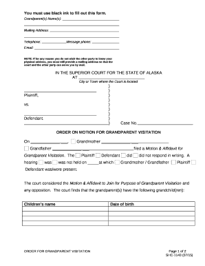 ORDER ON MOTION FOR GRANDPARENT VISITATION Doc Template | pdfFiller