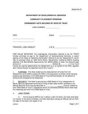 COMMUNITY PLACEMENT PROGRAM Doc Template | pdfFiller