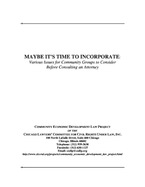 Fillable Online MAYBE IT'S TIME TO INCORPORATE: Fax Email Print - pdfFiller