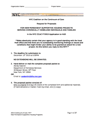 FOR NEW Permanent Supportive Housing PROJECTS Doc Template | pdfFiller