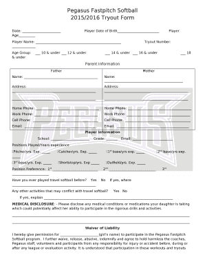 Pegasus Fastpitch Softball template Doc Template | pdfFiller