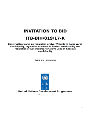 ITB-BIH/019/17-R template - procurement-notices undp Doc Template ...