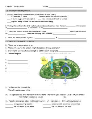 Chapter 7 Study GuideName template Doc Template | pdfFiller