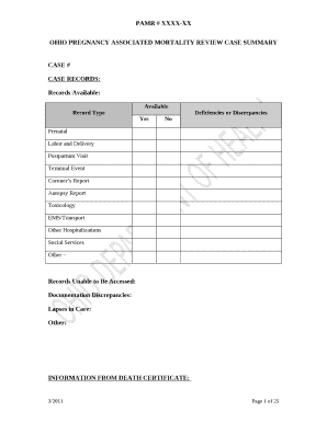 OHIO PREGNANCY ASSOCIATED MORTALITY REVIEW CASE SUMMARY Doc Template ...