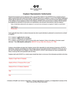 Employer Representative Authorization Doc Template | pdfFiller