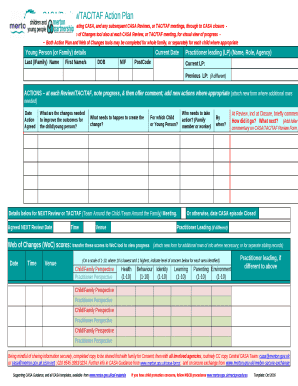 CASA/Review/TAC/TAF Action Plan Doc Template | pdfFiller