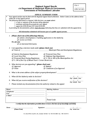 APPEAL SUMMARY Doc Template | pdfFiller