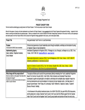 FCO Strategic Programme Fund Doc Template | pdfFiller