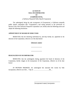 SOLE INCORPORATOR Doc Template | pdfFiller