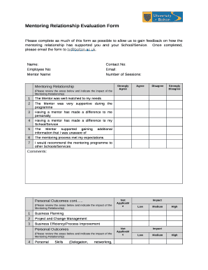 Mentoring Relationship Evaluation Doc Template | pdfFiller