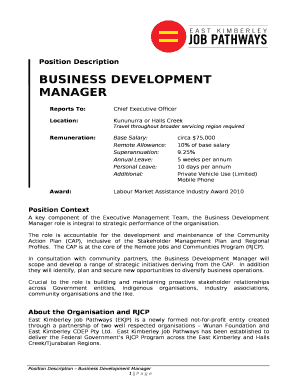 how to write a report to the chief executive officer Doc Template ...