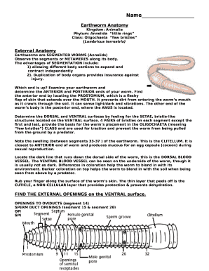 Earthworm Anatomy template Doc Template | pdfFiller