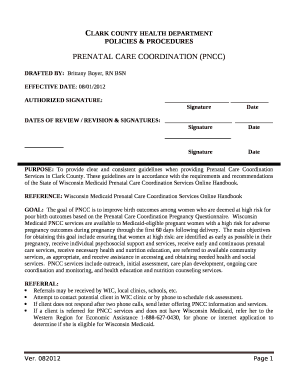 PRENATAL CARE COORDINATION (PNCC) Doc Template | pdfFiller