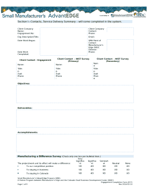 Section IContacts, Service Delivery Summary will come completed in the ...