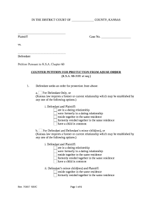 COUNTER PETITION FOR PROTECTION FROM ABUSE ORDER Doc Template | pdfFiller