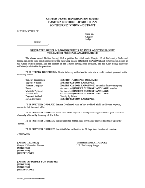 STIPULATED ORDER ALLOWING DEBTOR TO INCUR ADDITIONAL DEBT template Doc Template | pdfFiller