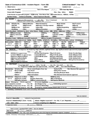 State of Connecticut DDS Incident Report 255Critical Incident Doc ...