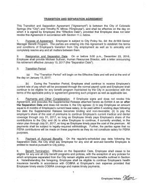 Fillable Online TRANSITION AND SEPARATION AGREEMENT Fax Email Print ...