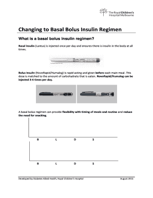 Fillable Online Changing to Basal Bolus Insulin Regimen Fax Email Print ...