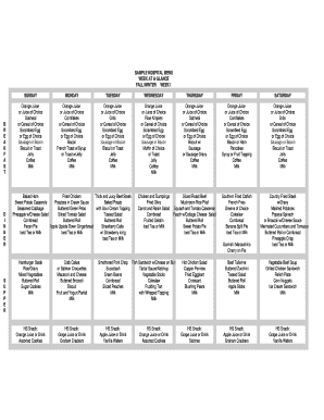 Fillable Online SAMPLE HOSPITAL MENU Fax Email Print - pdfFiller