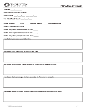 Fillable Online FINRA Rule 3110 Audit Fax Email Print - pdfFiller