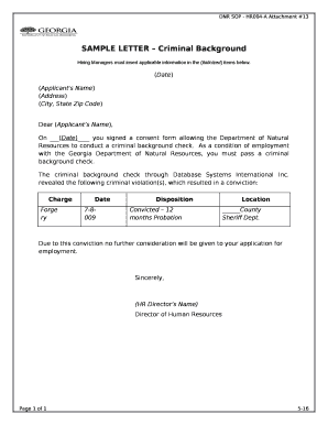 SAMPLE LETTER Criminal Background Doc Template | pdfFiller