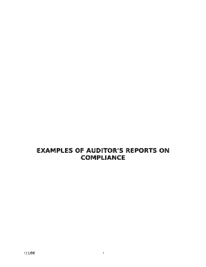 new auditor's report example Doc Template | pdfFiller