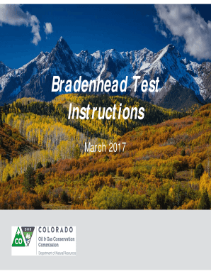 Fillable Online Bradenhead Test Fax Email Print - pdfFiller