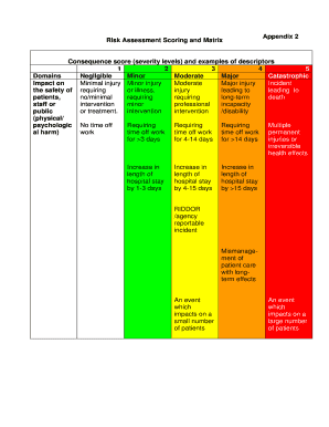 Fillable Online Risk Assessment Scoring and Matrix Fax Email Print ...