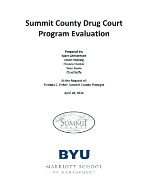 Fillable Online Summit County Drug Court Fax Email Print - pdfFiller