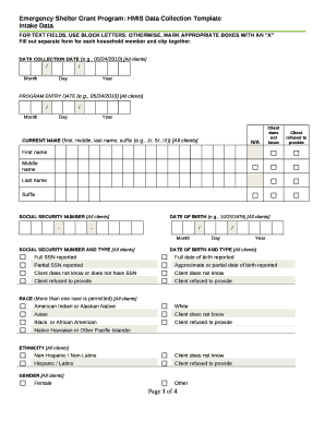Emergency Shelter Grant Program: HMIS Data Collection Template Doc ...