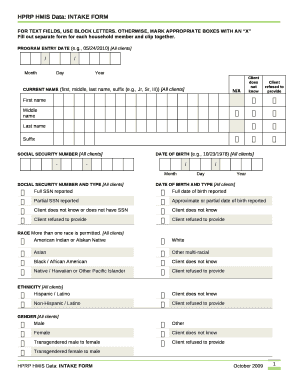 HPRP HMIS Data: INTAKE Doc Template | pdfFiller