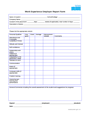 Work Experience Employer Report Doc Template | pdfFiller