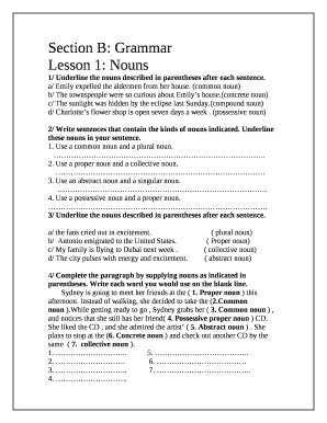 Section B: Grammar Doc Template | pdfFiller