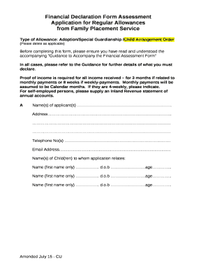 Financial Declaration Assessment Doc Template | pdfFiller