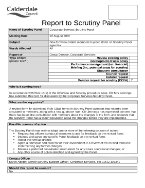 Name of Scrutiny Panel Doc Template | pdfFiller