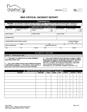 BSO CRITICAL INCIDENT REPORT Doc Template | pdfFiller