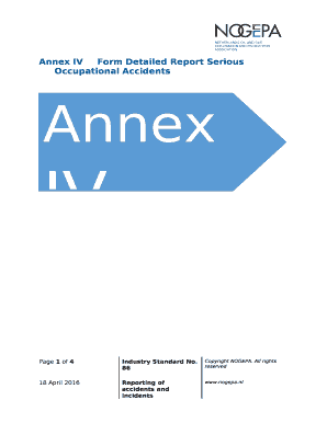 Annex IV Detailed Report Serious Occupational Accidents Doc Template ...
