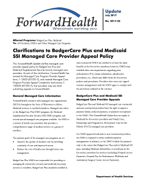Fillable Online Clarifications to BadgerCare Plus and Medicaid Fax Email Print - pdfFiller
