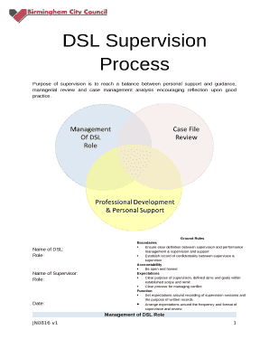 DSL Supervision Process Doc Template | pdfFiller