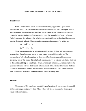 Electrochemistry: Voltaic Cells Doc Template | pdfFiller