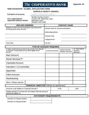 NEW ACCOUNTS - GLOBAL APPLICATION Doc Template | pdfFiller
