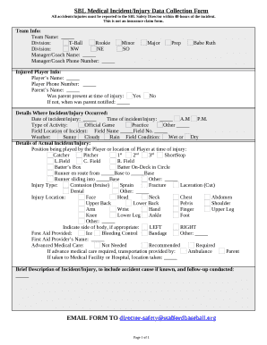 SBL Medical Incident/Injury Data Collection Doc Template | pdfFiller